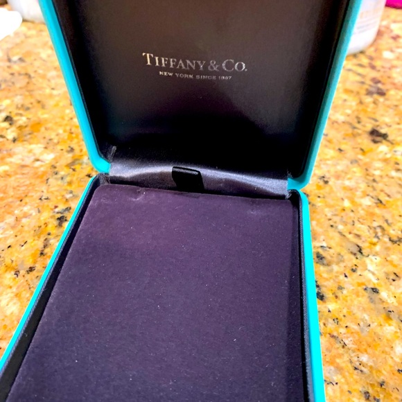 Tiffany & Co. | Storage & Organization | Brand New Authentic Medium ...